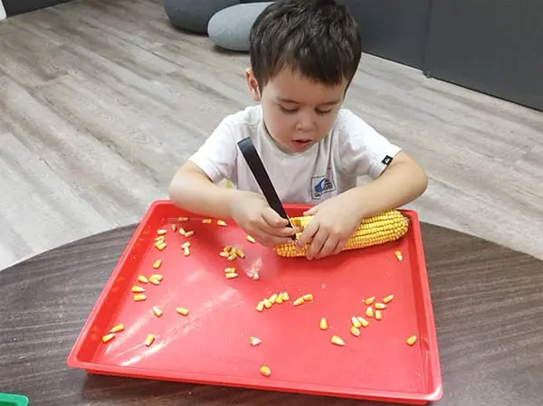 All About Corn - Carmel Mountain Preschool