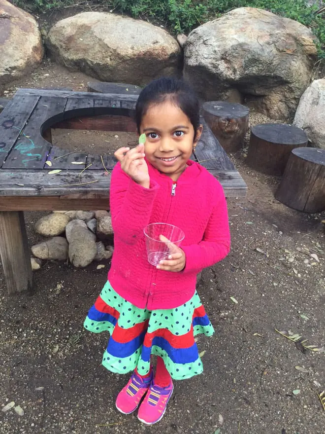 Nature Habitats in Clay - Carmel Mountain Preschool