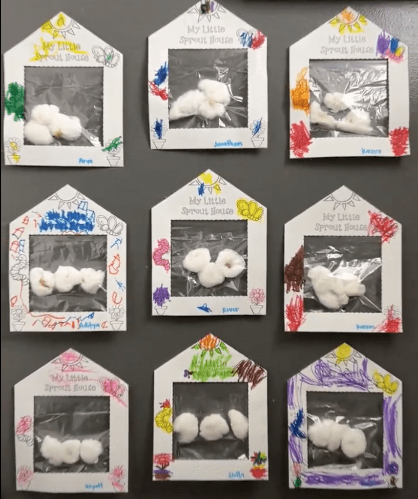 The Tiny Seed - Carmel Mountain Preschool