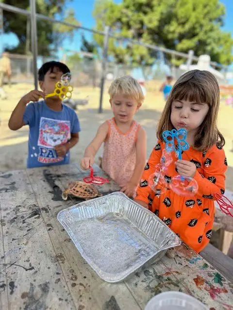 Learning Through Bubbles - Carmel Mountain Preschool