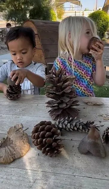 Loose Parts Play - Carmel Mountain Preschool