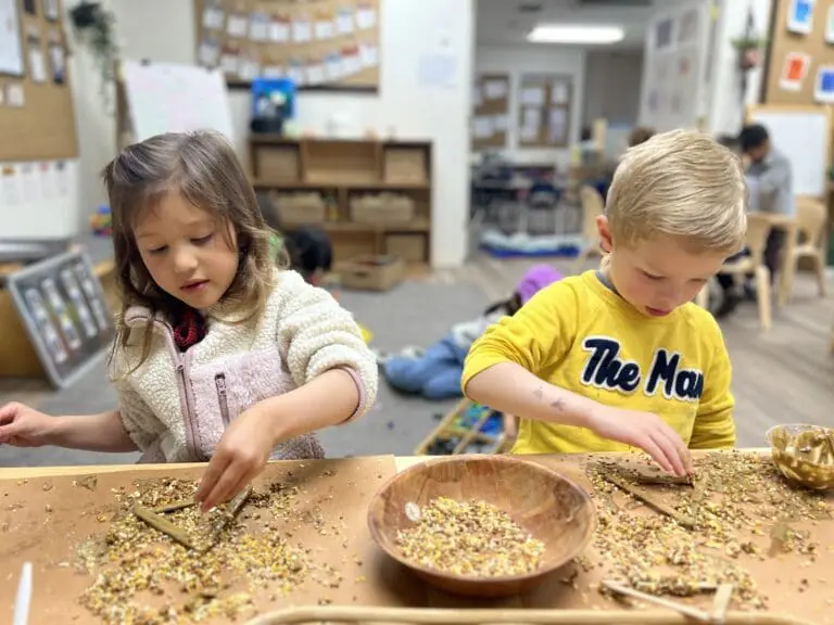 Bird Feeders - Carmel Mountain Preschool