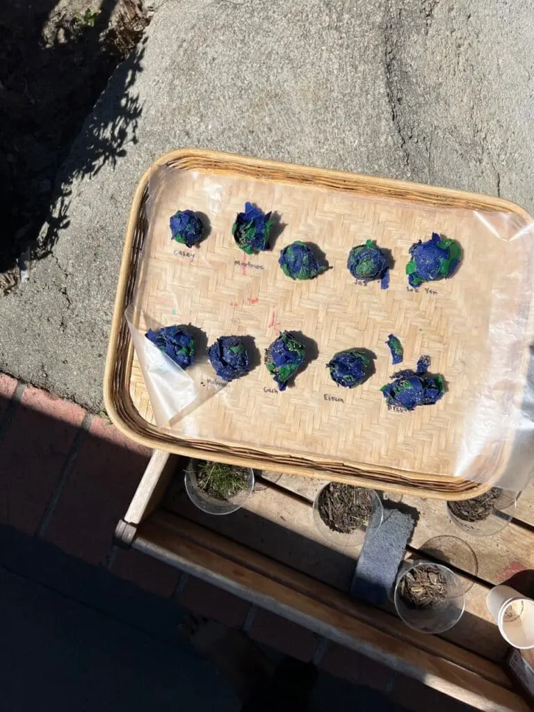 Earth Day Seed Bombs - Carmel Mountain Preschool