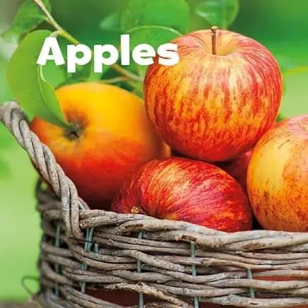Apple Taste Test - Carmel Mountain Preschool