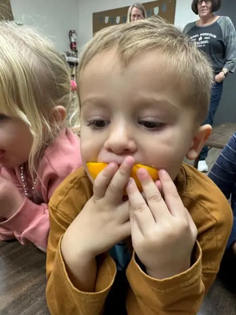Citrus Season - Carmel Mountain Preschool