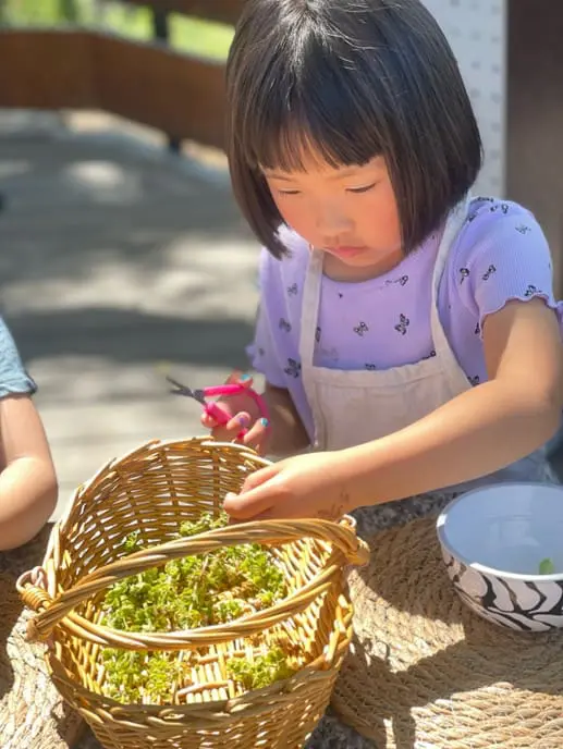 Our Version of Farm to Table - Carmel Mountain Preschool