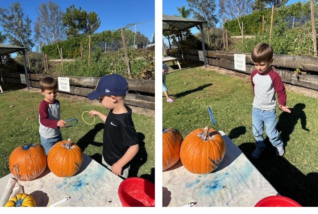 What to do with Leftover Pumpkins - Carmel Mountain Preschool