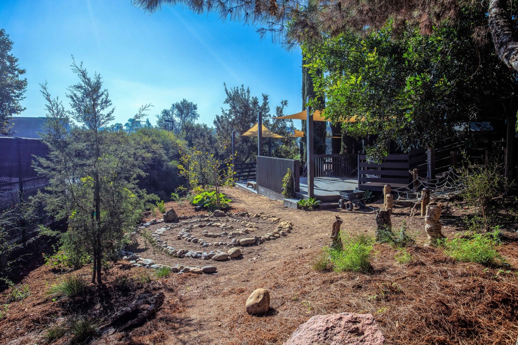 The Enchanted Forest - Carmel Mountain Preschool